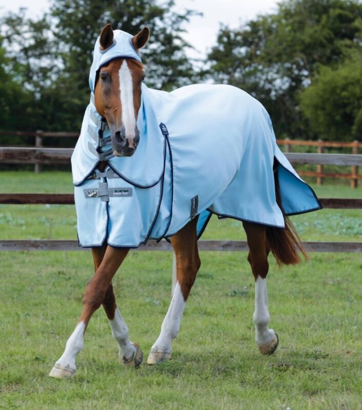 Buster-Sweet-Itch-Fly-Rug-with-Surcingles-PREORDERS – NVS Equine Attire