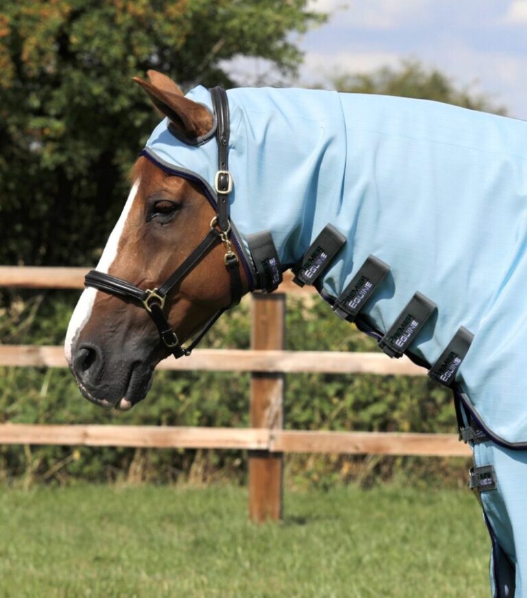 Buster-Sweet-Itch-Fly-Rug-with-Surcingles-PREORDERS – NVS Equine Attire