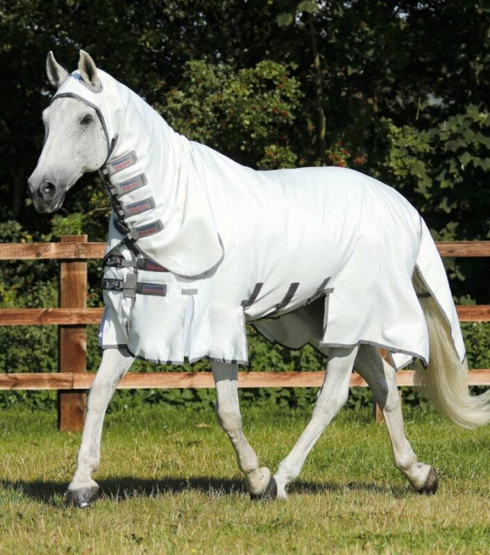 Sweet-Itch-Buster-Fly-Rug-with-Belly-Flap-PREORDERS – NVS Equine Attire