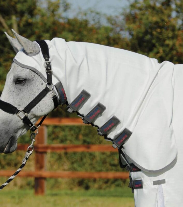 Sweet-Itch-Buster-Fly-Rug-with-Belly-Flap-PREORDERS – NVS Equine Attire